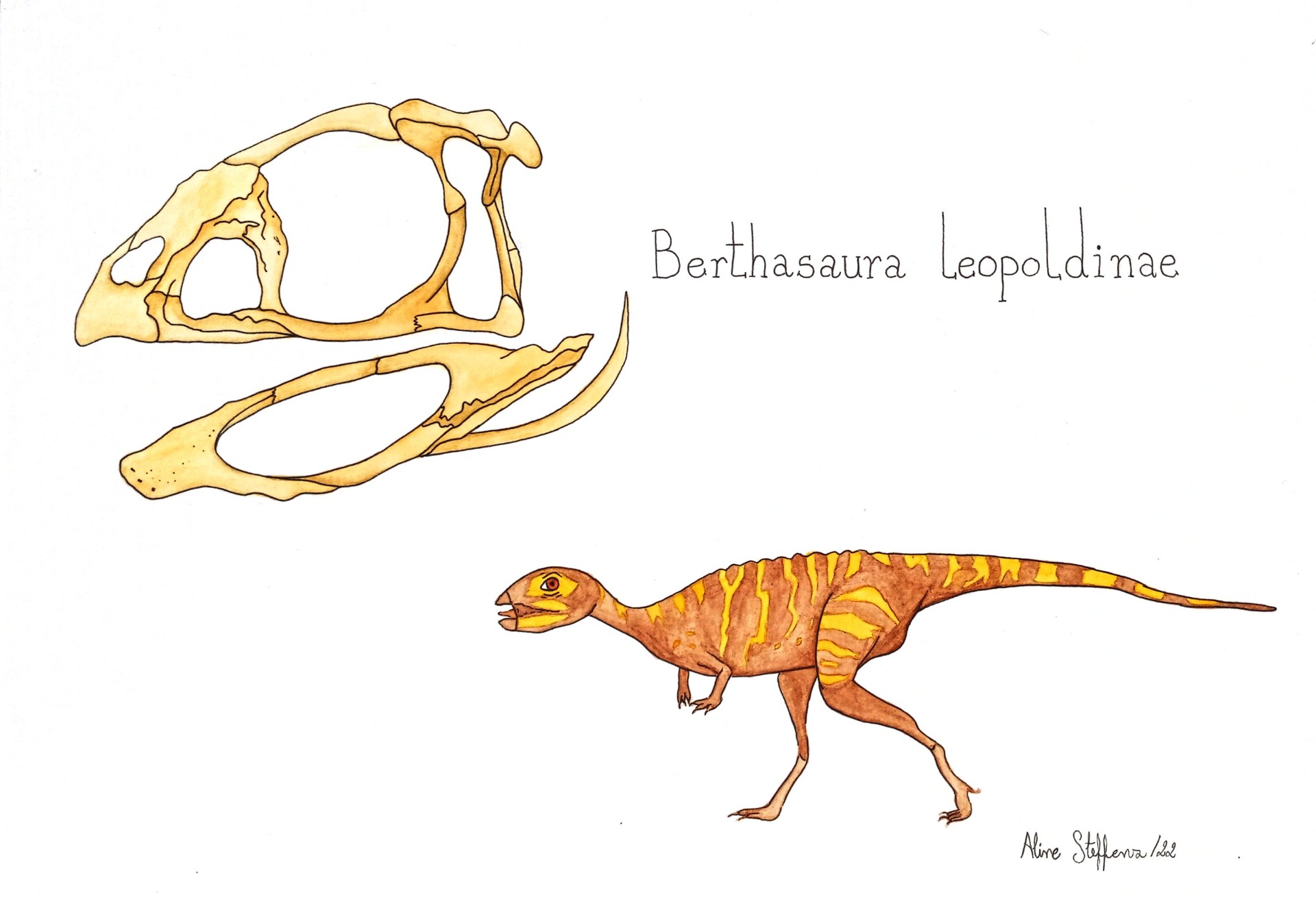 Berthasaura leopoldinae: um dinossauro sem dentes :: Bioaquarela